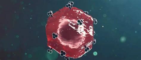 Science Hiv B