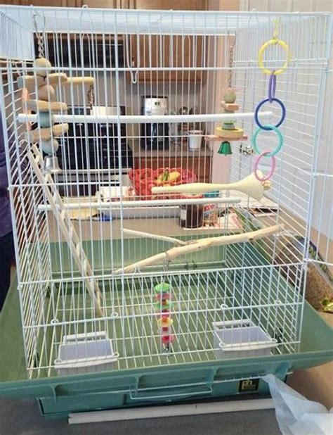 How To Set Up A Birdcage For A Parakeet Or Cockatiel Artofit