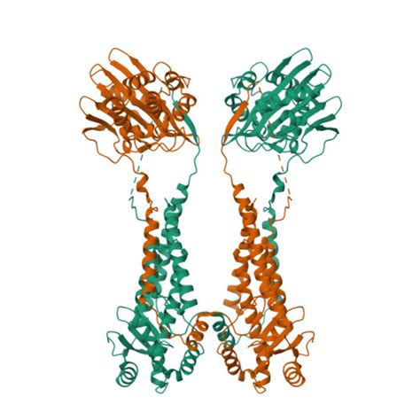 Rcsb Pdb 8exp Cryo Em Structure Of S Aureus Blar1 With C2 Symmetry