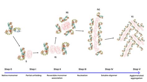 Protein Aggregation Challenges Approaches For Mitigation