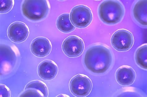 Accessible Single Cell Rna Sequencing Bioinformatics Training Using Galaxy Earlham Institute