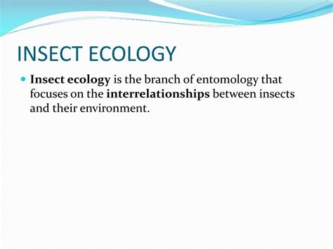 Ppt Insect Ecology Powerpoint Presentation Free Download Id2408373