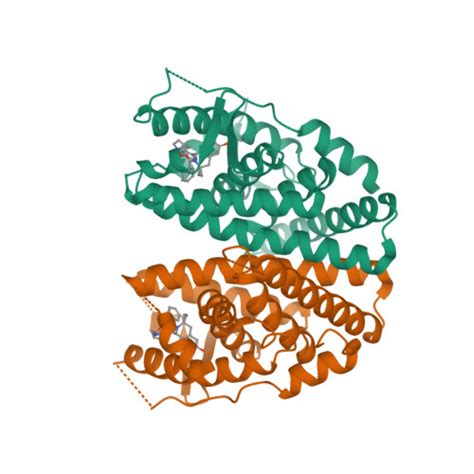 Rcsb Pdb 8du9 Estrogen Receptor Alpha Ligand Binding Domain In