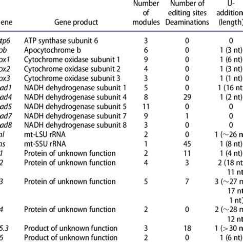 Mitochondrial Gene Complement Gene Structure And Rna Editing Sites In