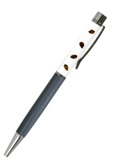 Preserved Bed Bug Pens Cimex Store