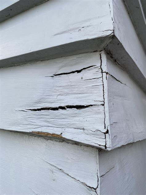 weatherboard repair tips r diynz