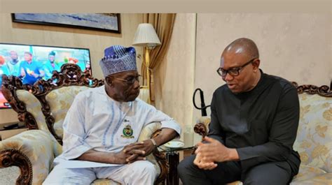 Obasanjo Finally Endorses Peter Obi Daily Trust