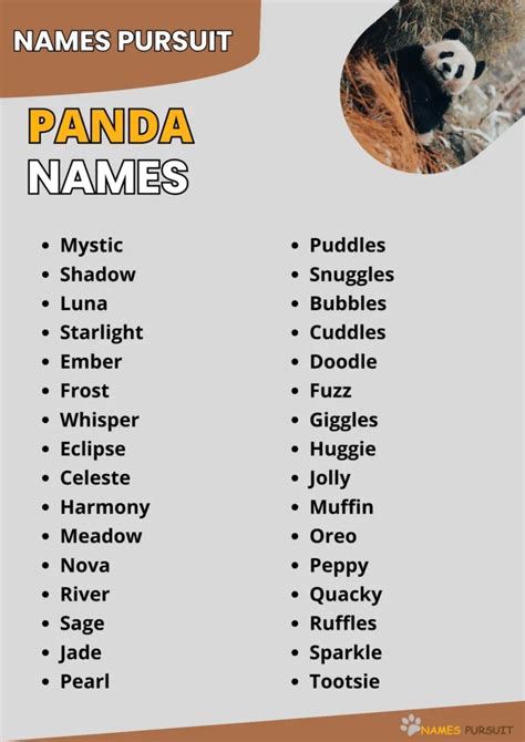 650 Panda Names Cute Funny Famous And Unique Ideas