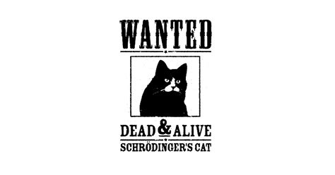 Schrodingers Cat Schrodingers Cat T Shirt Teepublic