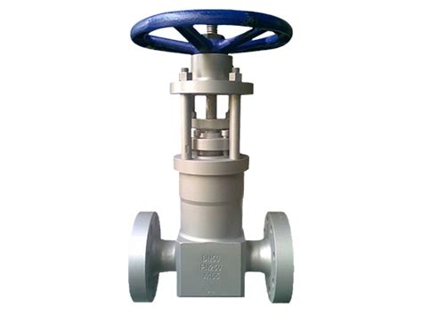 تامین کننده، تولید کننده و کارخانه دریچه گیت چین Lyv®