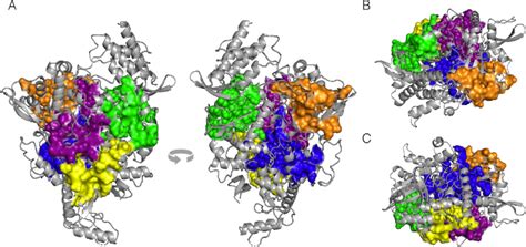Mapping Results Of The Five Highest Size And Grade Consensus Druggable