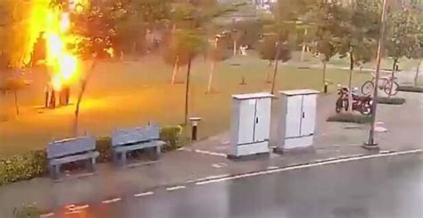 印度四名男子树下躲雨被闪电击中瞬间倒地 致严重烧伤腾讯新闻