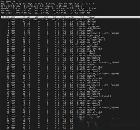 在linux系统中查询cpu版本的多种方法，你知道几个？ Linux命令大全手册