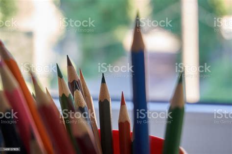 Pensil Warna Untuk Menggambar Dan Mewarnai Dengan Latar Belakang Putih
