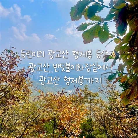 등린이의 광교산 초보등산코스 주차 반딧불이화장실 형제봉 서울 근교 네이버 블로그