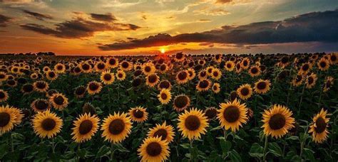 Beli Produk Di Lily Store Terlengkap Desember 2024 Itemku