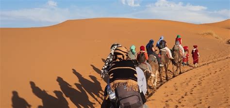 모로코 사하라사막을 향하여 낙타투어 아프리카 대장정 지구여행학교