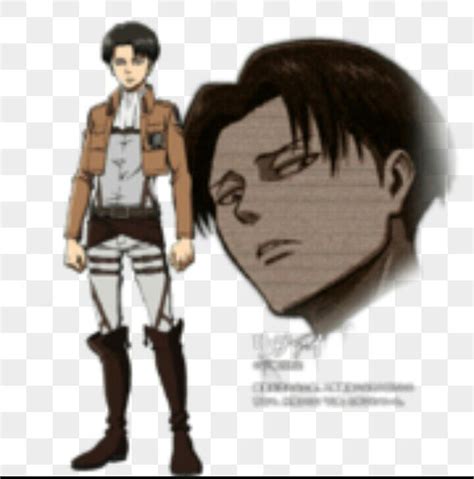Levi Ackerman Wiki •animes Y Videojuegos️• Amino