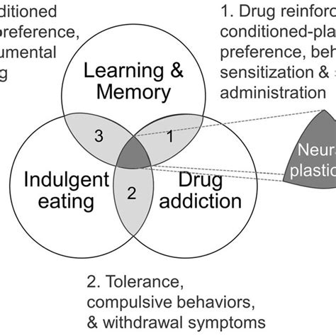 Compare The Series And Parallel Circuit Using Venn Diagram Circuit
