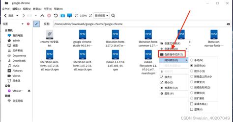 麒麟系统Fedora 64安装谷歌chrome浏览器 CodeBuug