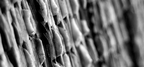 Un último Vuelo Un Poema De Jose Yebra — Omnivoraz