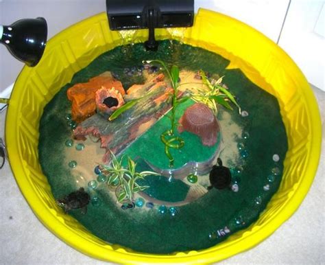 Indoor Turtle Pond Too Easy I Could Make This Happen Turtle Pond
