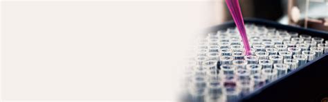 Immunoassay For Analyte Test At Stephen Gallagher Blog