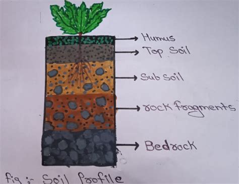 Soil Layers Diagram