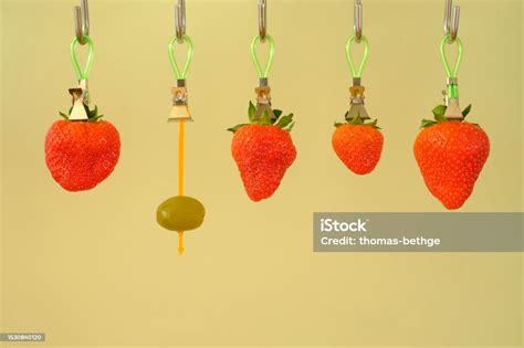비즈니스 개념 상자 밖에서 생각하기 아이디어 독특한 판매 포인트 인적 자원 혁신 올리브 하나와 딸기 매달기 0명에 대한 스톡