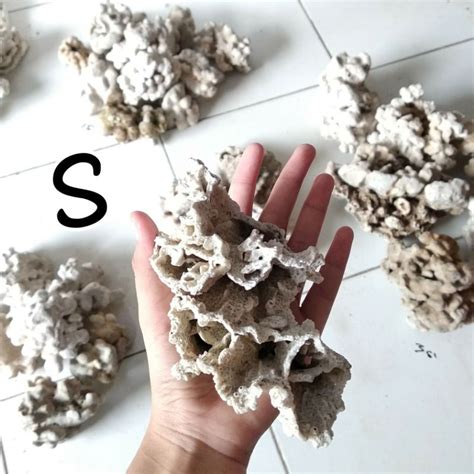 Jual Batu Karang Laut Asli Natural Coral Anemon Dekorasi Ornamen