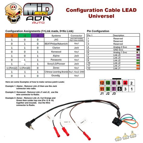 Cable Lead ADNAuto Universel LEUN Compatible Avec Tout Autoradio Et