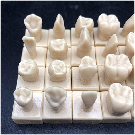 28 Pcs Typodont Teeth Model Diamond Dental Burs Dental Supplies