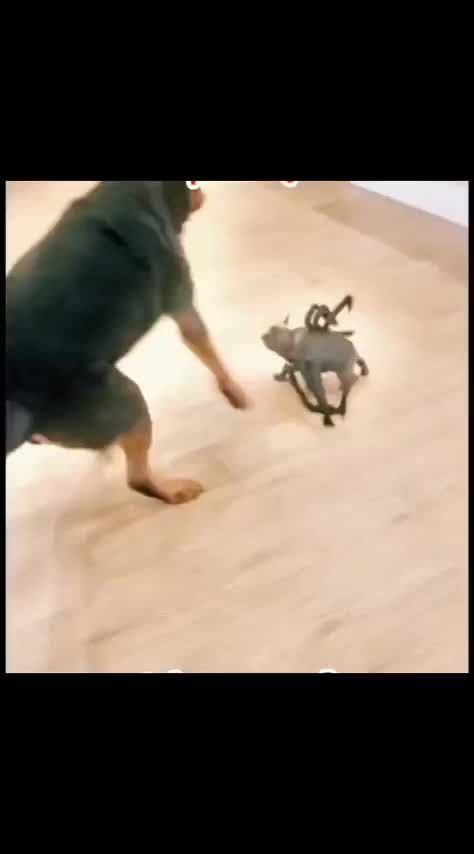 Un Poco De Humor Album On Imgur