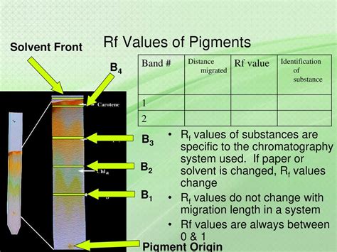 Photosynthesis Intro Chapter Ppt Download