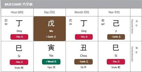 How To Read Bazi Chart Bazi Beginner Guide Uqjfk
