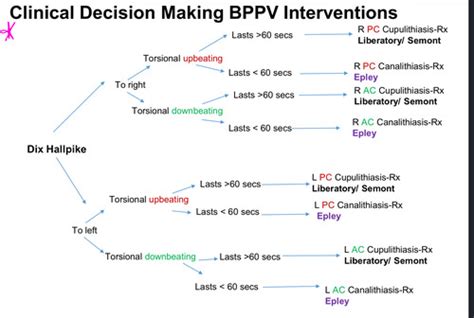 Overview Of Bppv Diagnosis And Treatment Techniques Flashcards Quizlet Overview Of Bppv Diagnosis And Treatment Techniques Flashcards Quizlet
