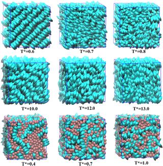GPU-Accelerated Molecular Dynamics Simulation to Study Liquid Crystal Phase Transition Using ...