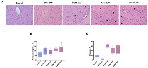 Histopathological Analysis Of Liver Tissue A Photomicrographs Of Download Scientific Diagram