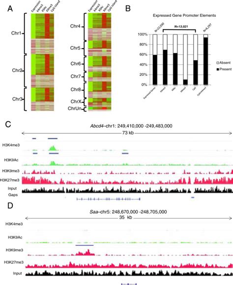 Summary Of Fibroblast Chip Seq Results A Heatmap Of Rna Expression