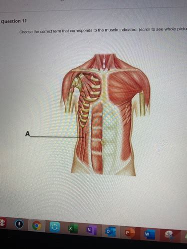 Practice Flashcards Quizlet
