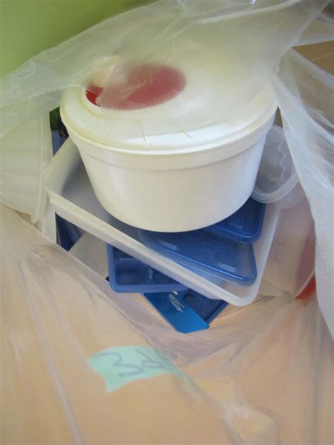 Tupperware And Other Plastic Containers