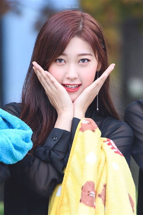Fy Loona Purple