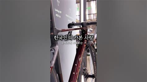 한국인이 카본 자전거를 사랑하는 진짜 이유 Youtube