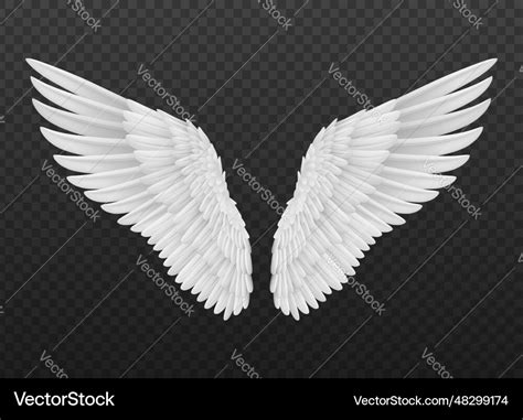 Realistic Isolated Angel Wings With White Feathers