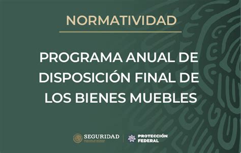 Programa Anual De Disposición Final De Bienes Muebles Padfbm Del Spf