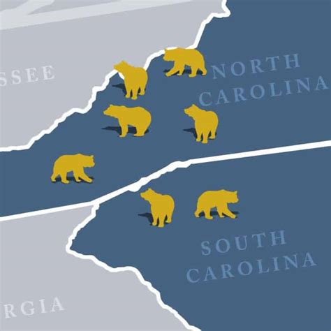 Anna Hamrick Attorney At Grimes Teich Anderson