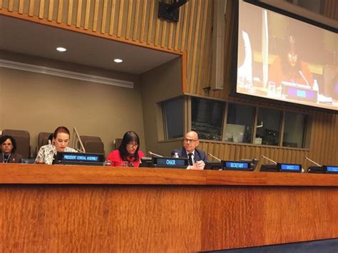 Preside Cuba Diálogo Regional Sobre La Cooperación Sur Sur En Naciones