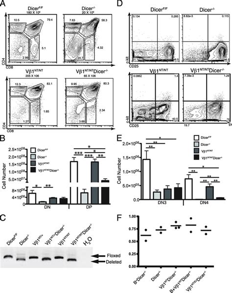 A Preassembled Functional Tcrb Gene Partially Rescues Early Ab T Cell