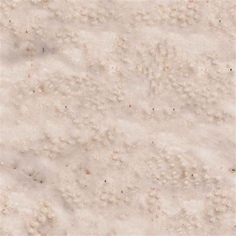 Seamless Texturebrush Pack Undead1 Bonewarts 1024png