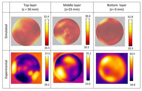 Comparison Of Simulated And Experimental Spatial Temperature Profiles Download Scientific